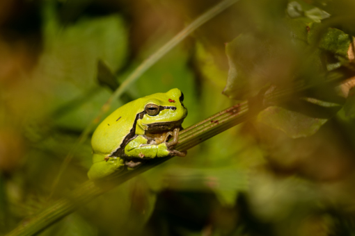 Excursies - Dagje in de natuur