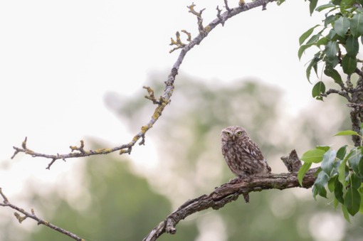 Wageningen - Dagje in de natuur