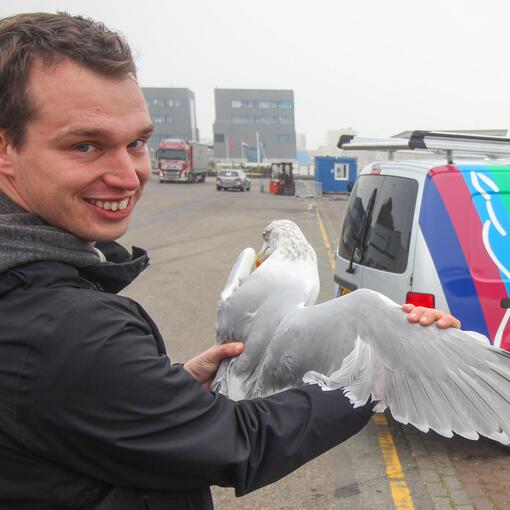 Gidsen - Dagje in de natuur