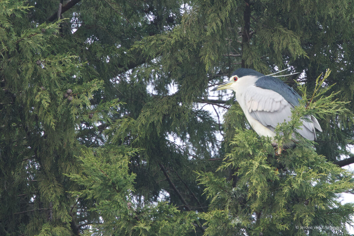 Een dagexcursie in de Zeeuwse Delta - Dagje in de natuur